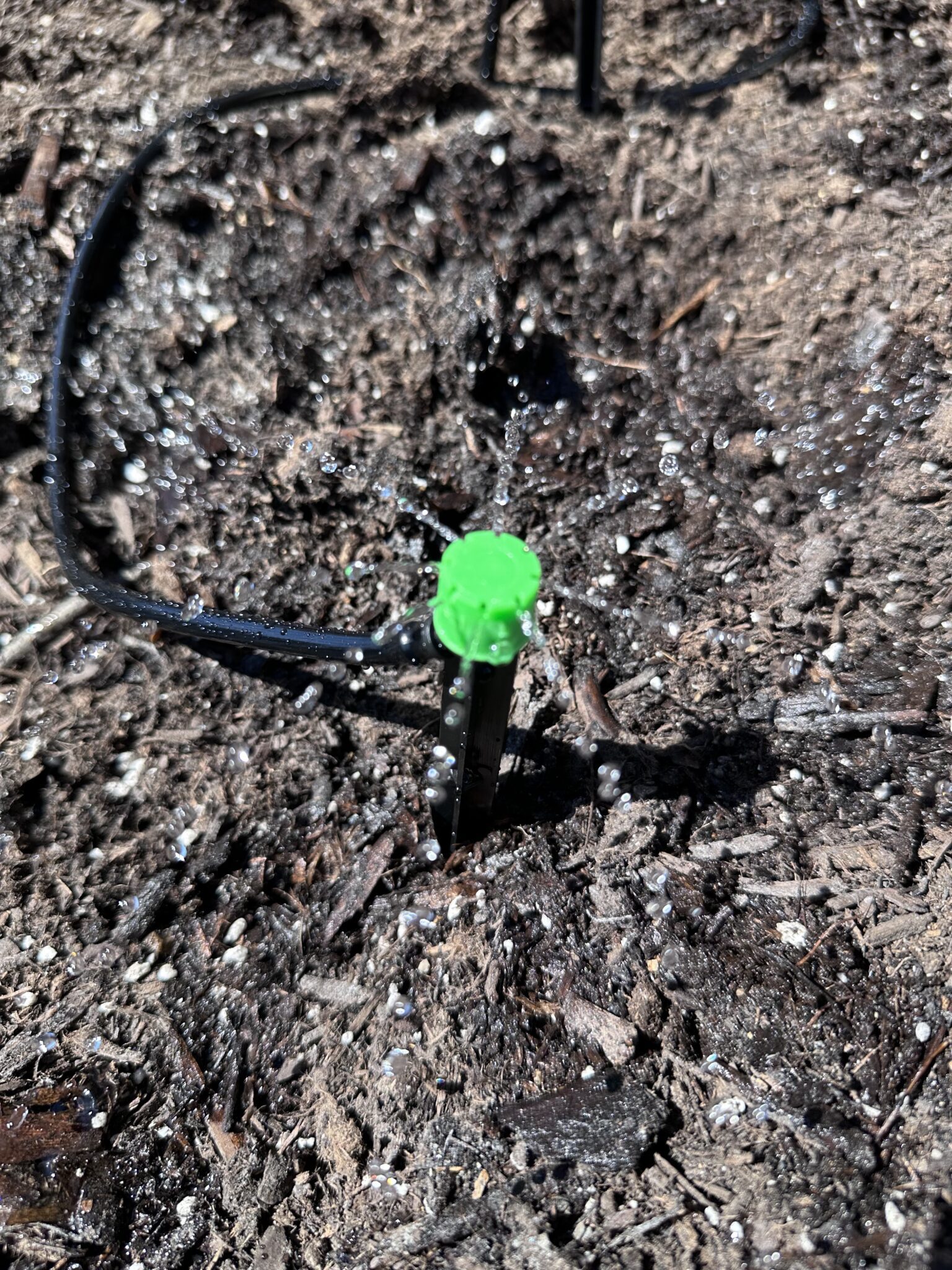 Build A Self-Watering Irrigation System - The Good Wrench