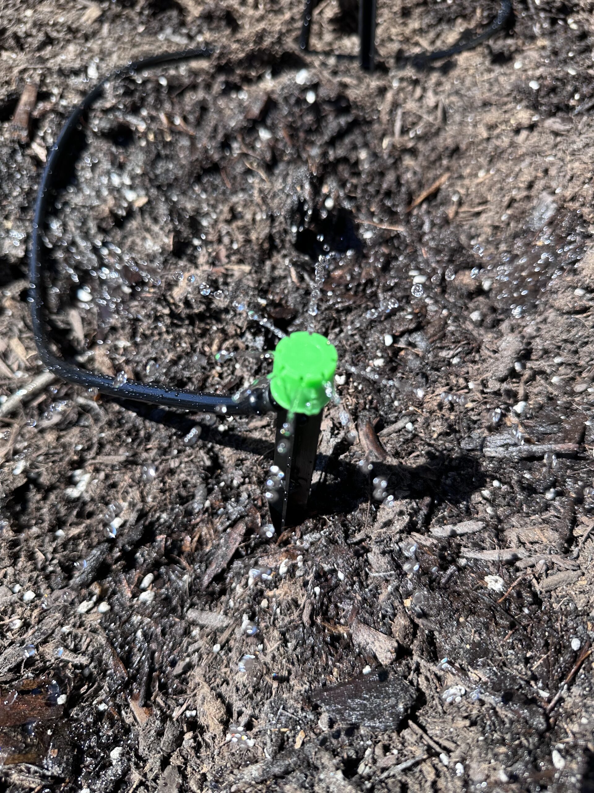 Build A Self-Watering Irrigation System - The Good Wrench