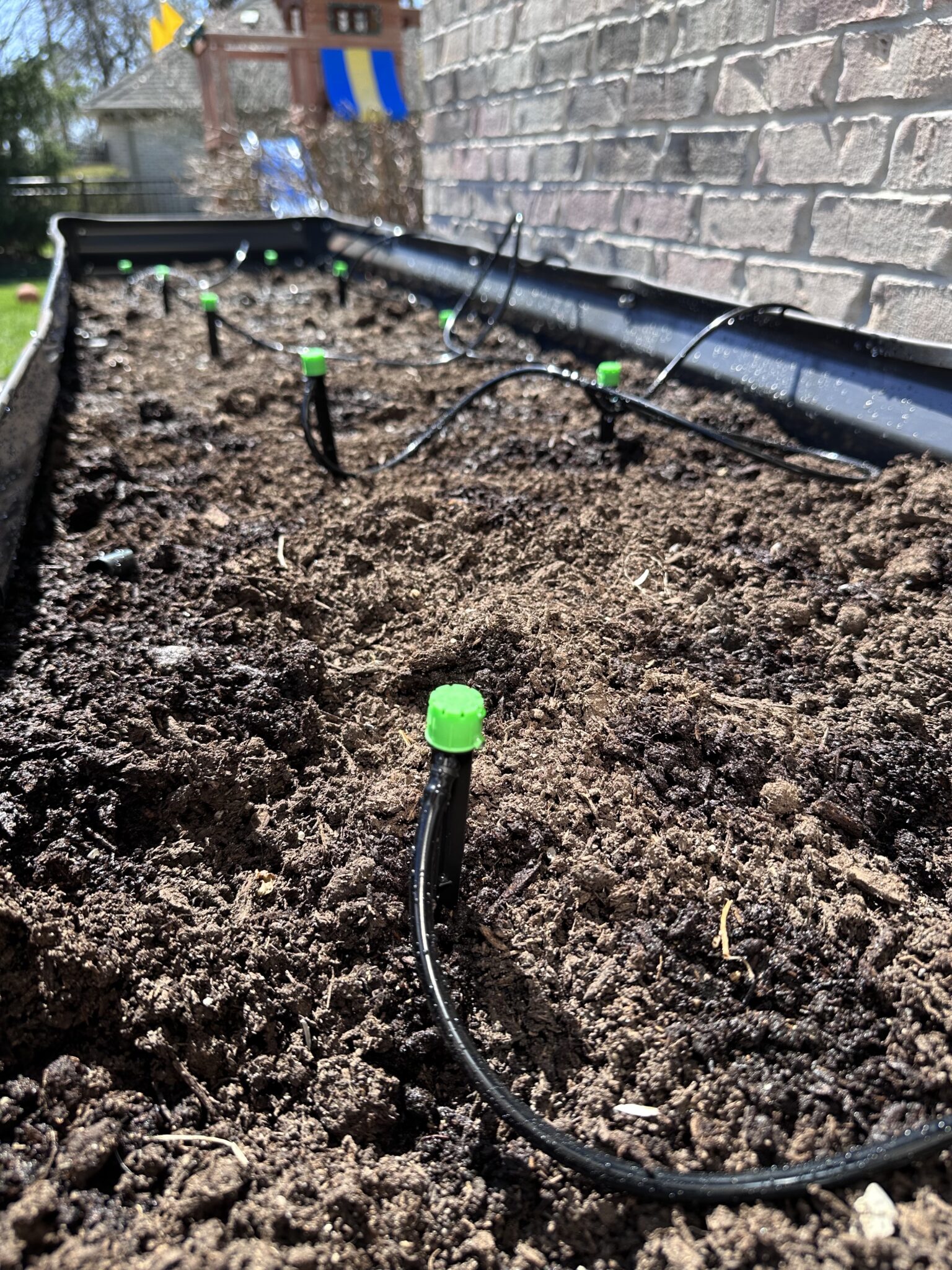 Build A Self-Watering Irrigation System - The Good Wrench